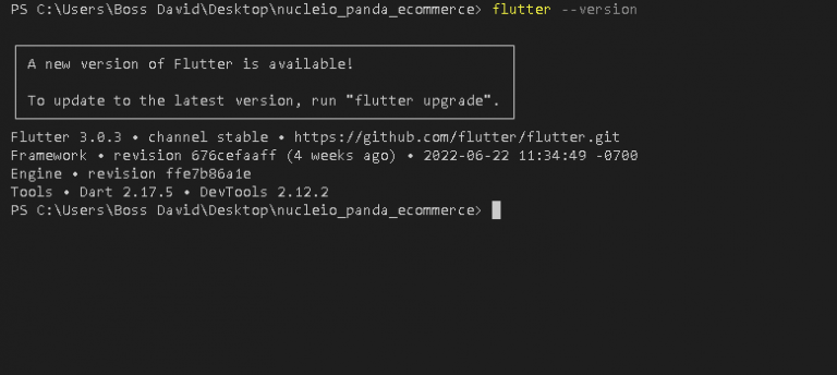 How To Downgrade Your Flutter Version Nucleio Information Services 
