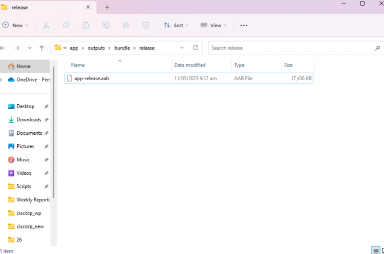 How To Generate An Aab File In Flutter With Vs Code Nucleio Information Services